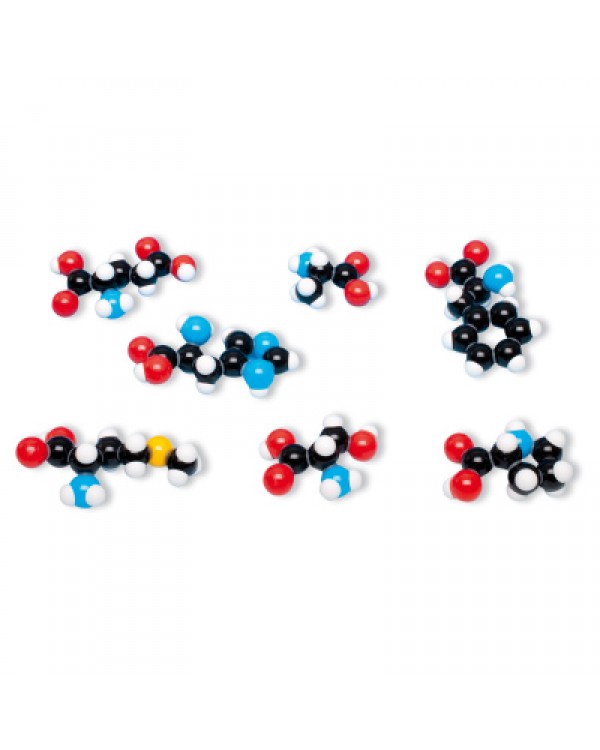 Amino Acid 7 Model Collection Kit (Including peptide bond upgrade)
